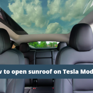 Tesla Model 3 Rwd Vs Awd: What Is The Difference? Best Guide